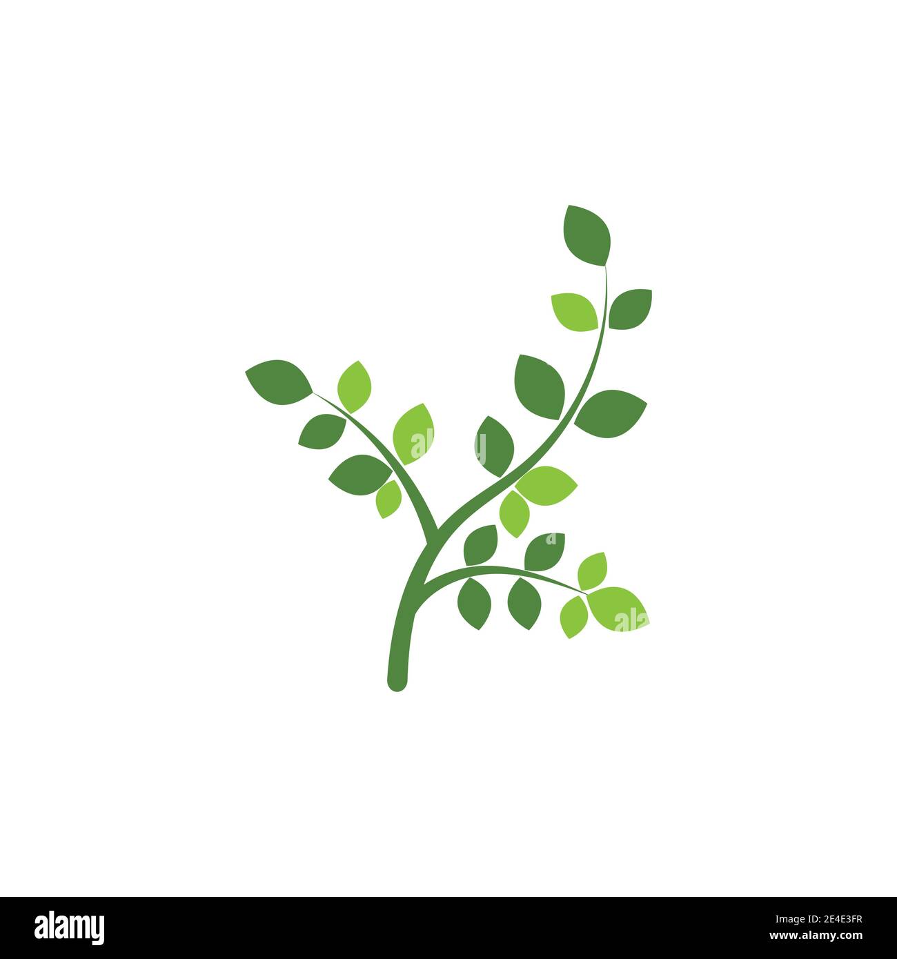 Moringa leaf Logo Template vector symbol nature Stock Vector Image ...