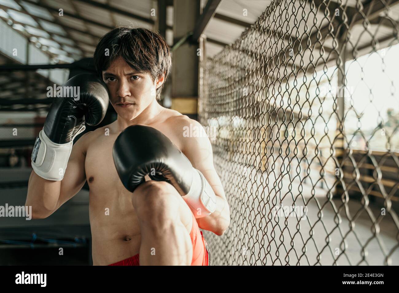 Ultimate fighter in boxing gloves with knee kick standing near the ...