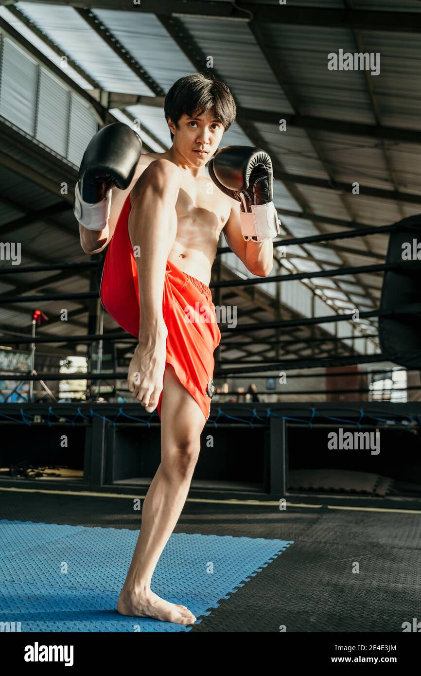 Ultimate human hi-res stock photography and images - Alamy