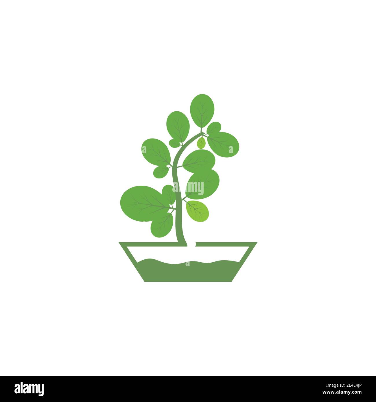 Moringa leaf Logo Template vector symbol nature Stock Vector Image ...