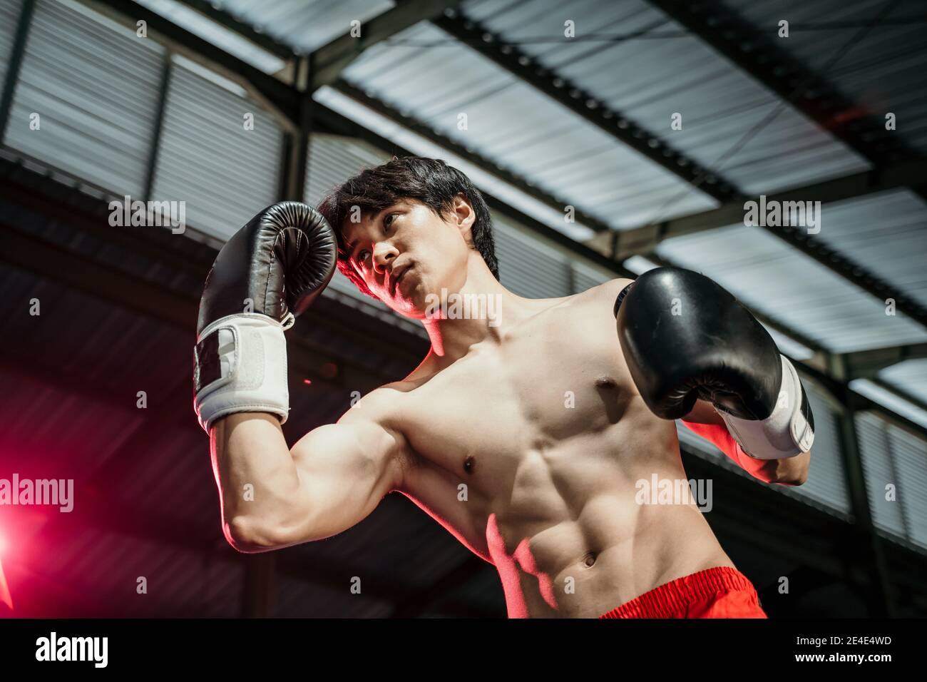 boxer fighter in boxing gloves with swing punch against the ring arena ...