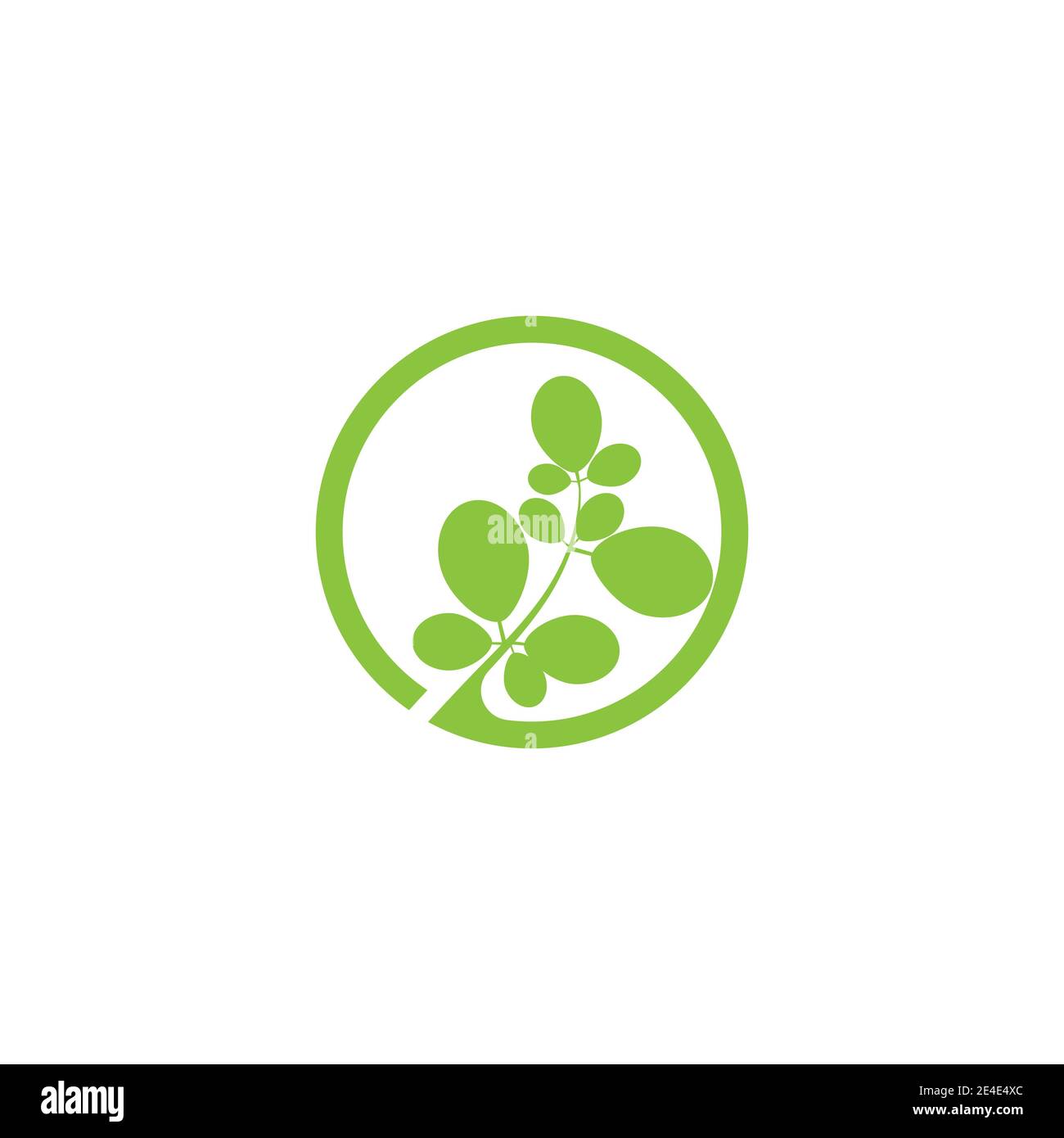 Moringa leaf Logo Template vector symbol nature Stock Vector Image ...