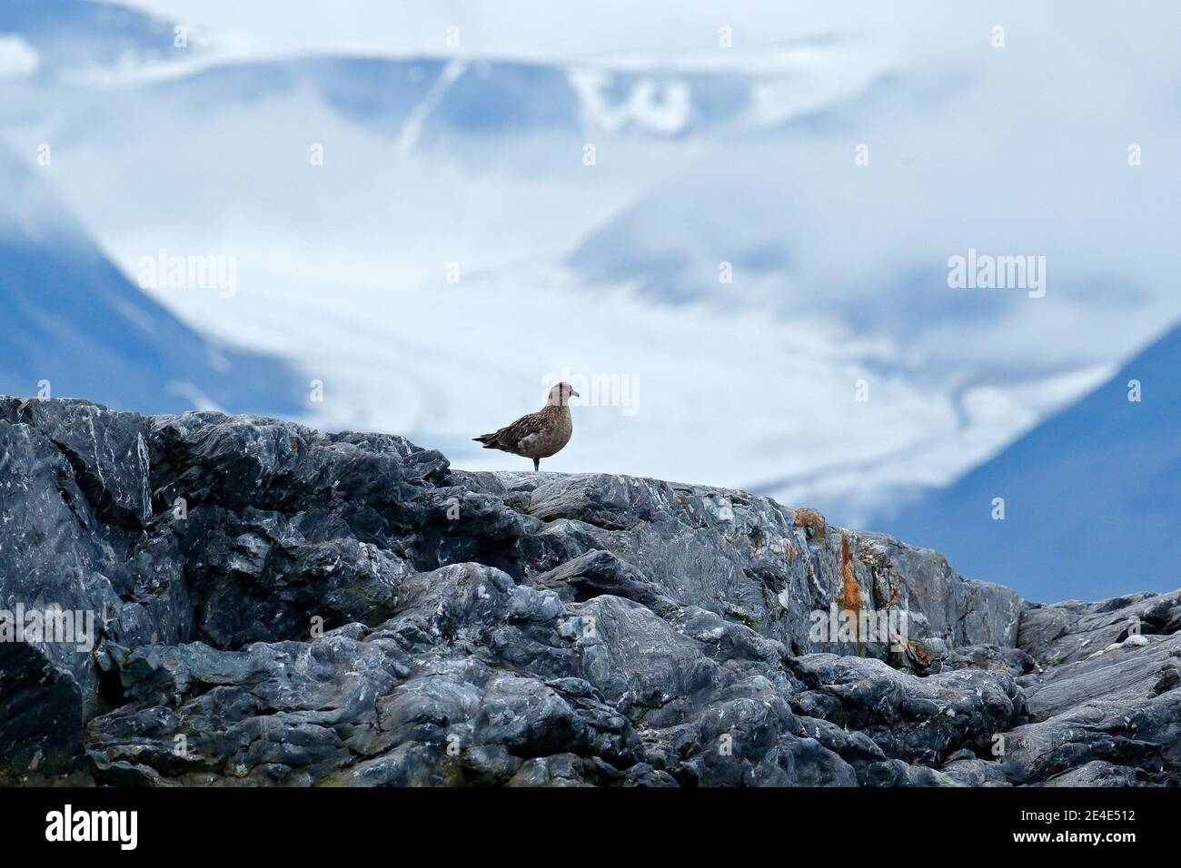 Arctic norway icebreaker hi-res stock photography and images - Alamy