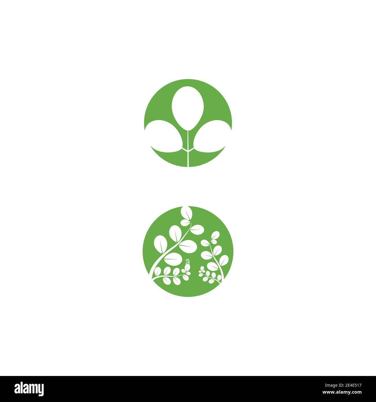 Moringa leaf Logo Template vector symbol nature Stock Vector Image ...