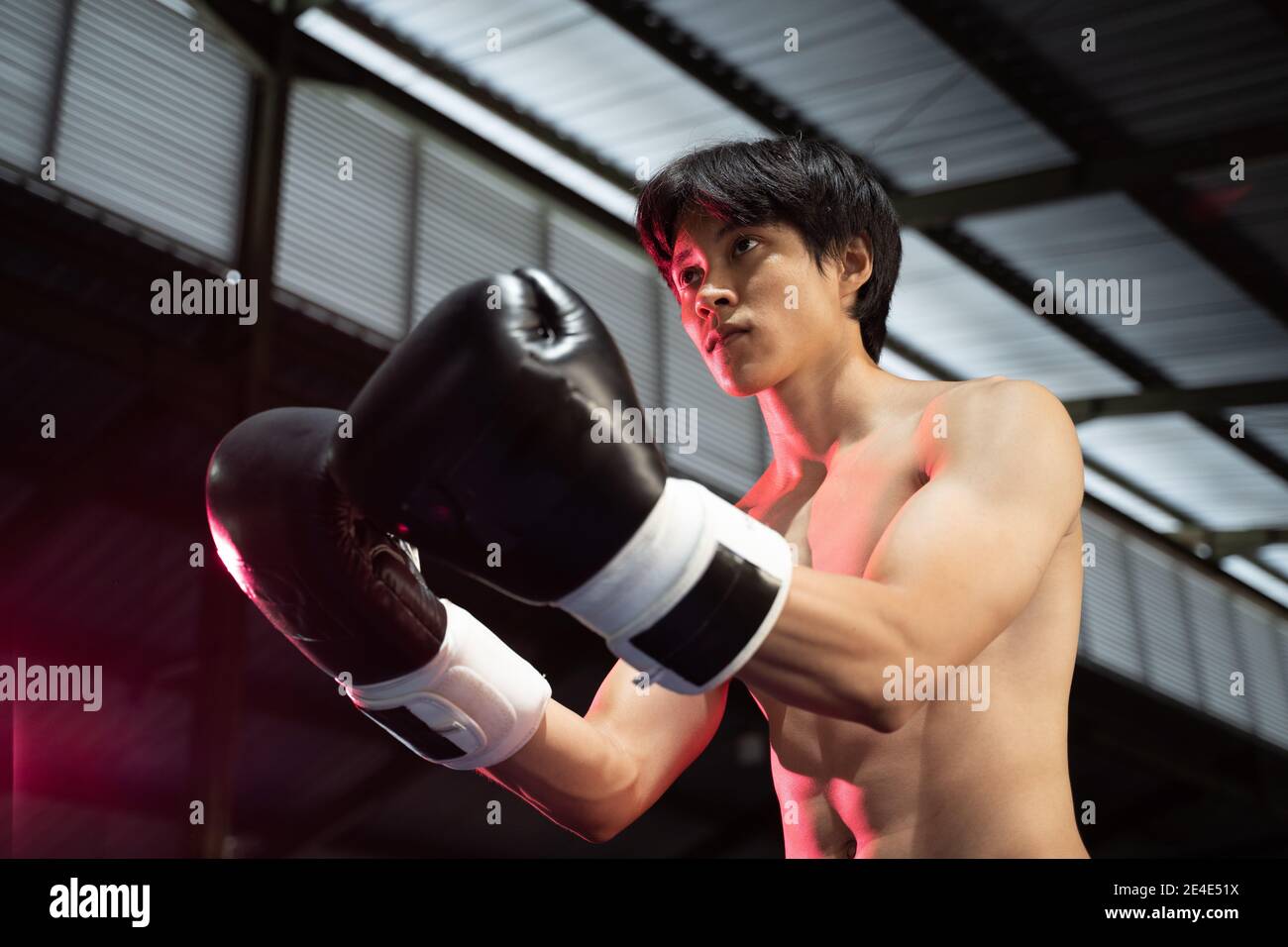 boxer fighter in boxing gloves challenge his opponent with hand gesture ...