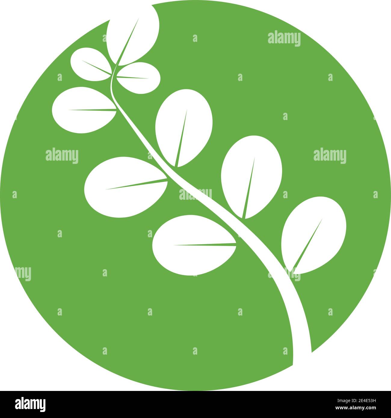 Moringa leaf Logo Template vector symbol nature Stock Vector Image ...