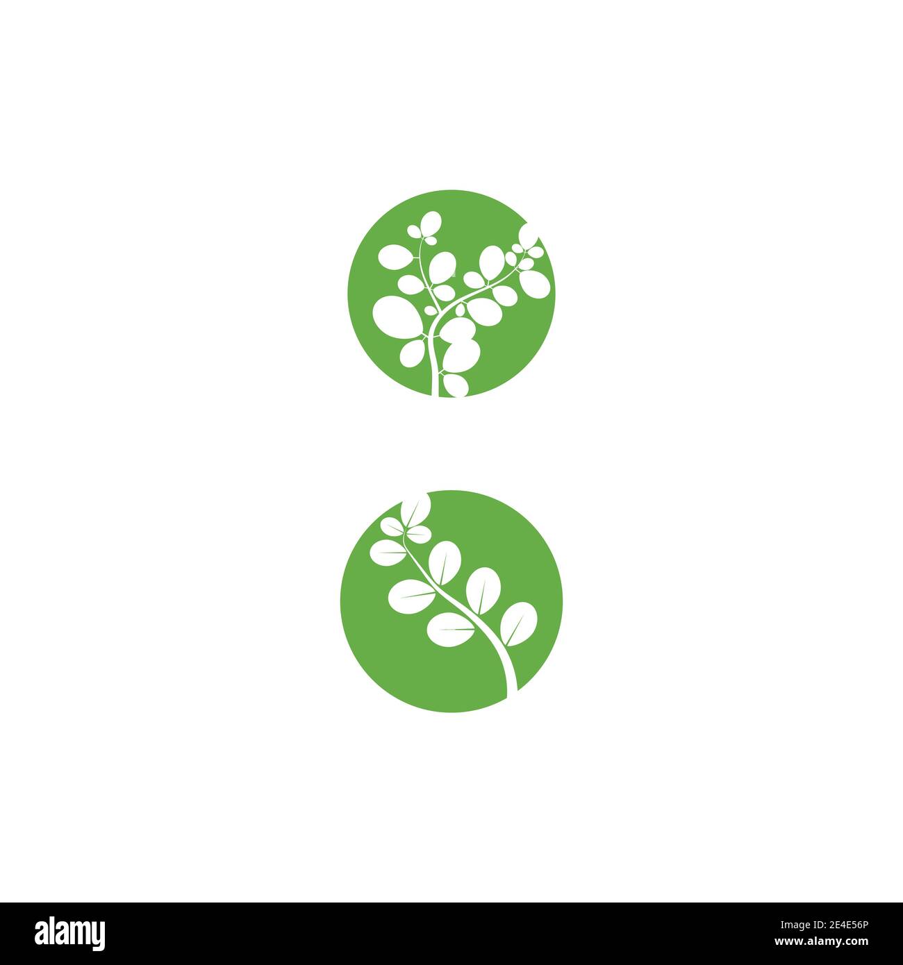 Moringa leaf Logo Template vector symbol nature Stock Vector Image ...