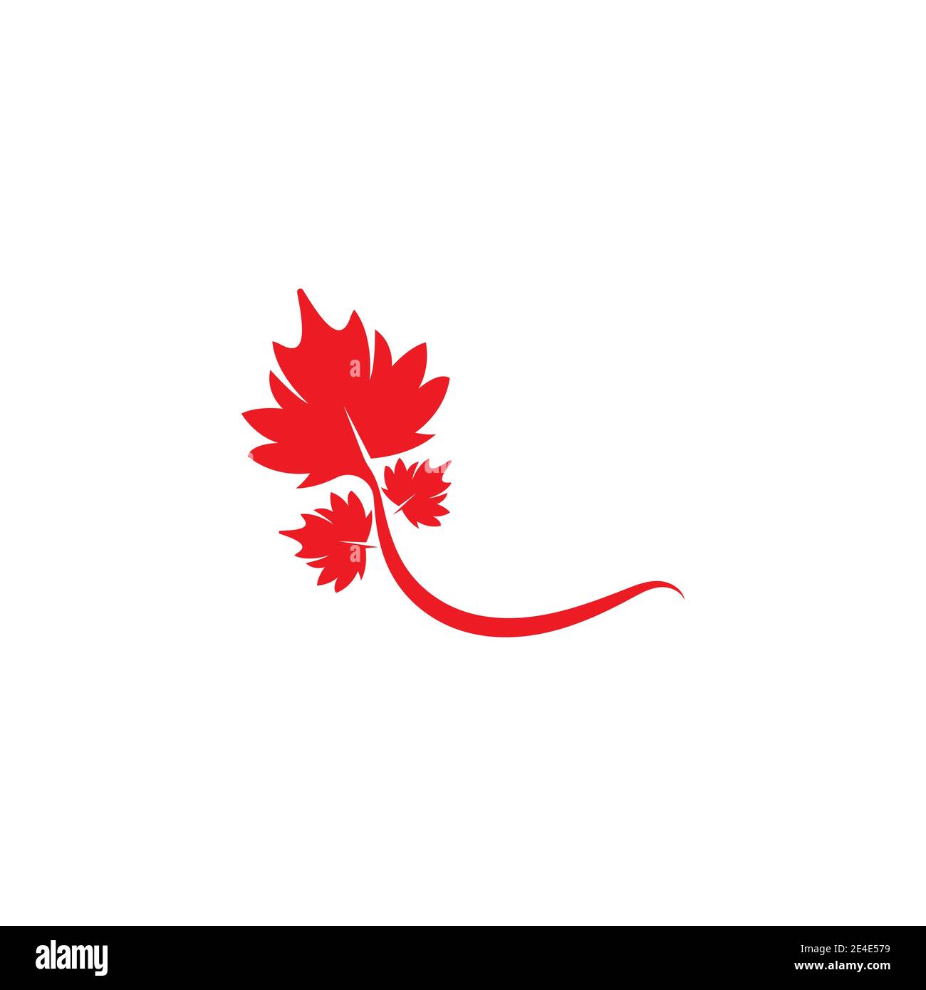 Maple leaf vector illustration design template Stock Vector Image & Art ...