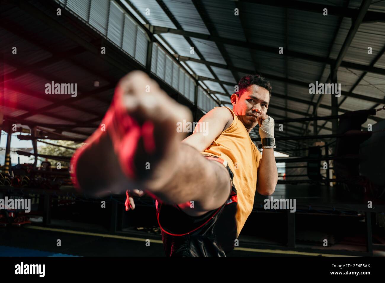 close up of muay thai boxer in boxing gloves make a middle kick motion ...