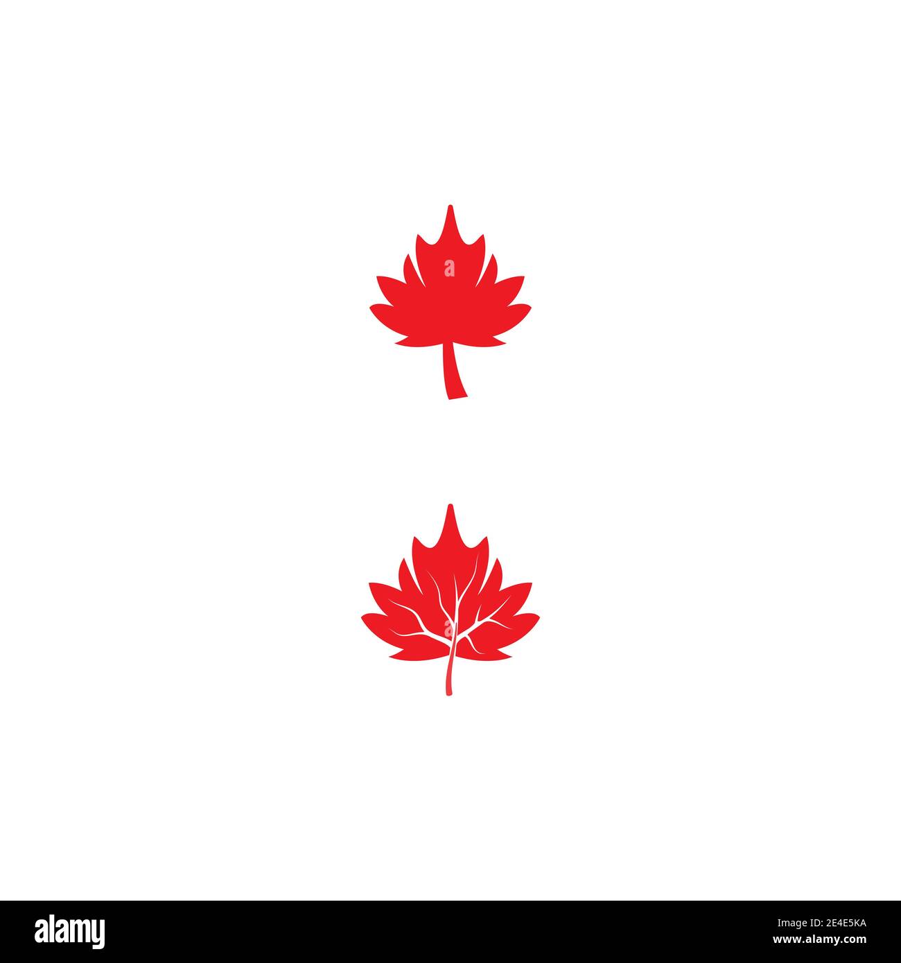 Maple leaf vector vectors hi-res stock photography and images - Alamy