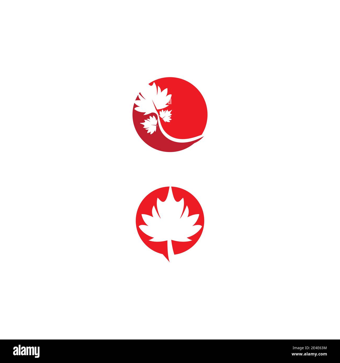 Maple leaf vector illustration design template Stock Vector Image & Art ...