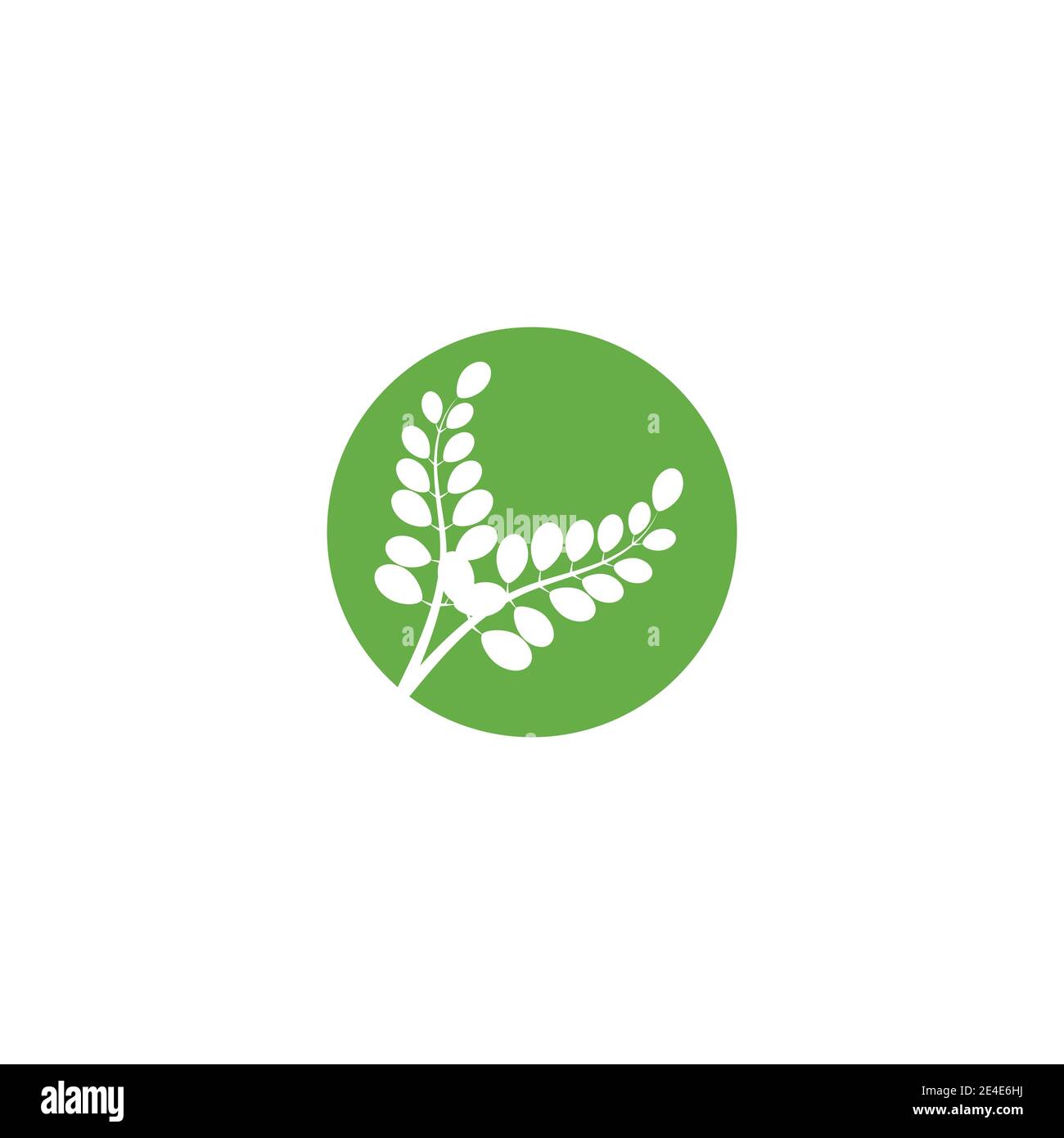 Moringa leaf Logo Template vector symbol nature Stock Vector Image ...