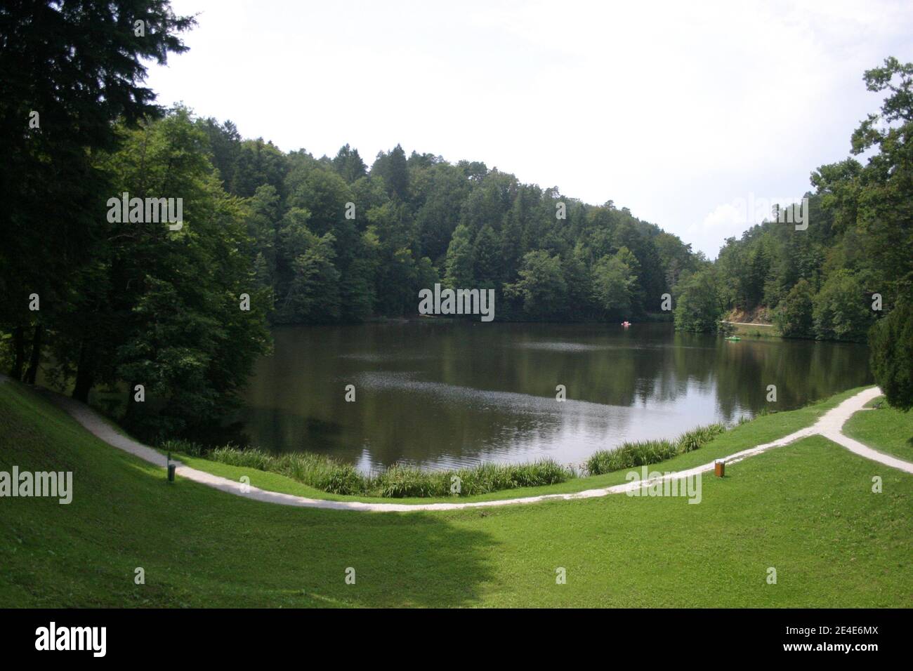 Panoramic picture of a still lake, surrounded by a lush forest with a ...