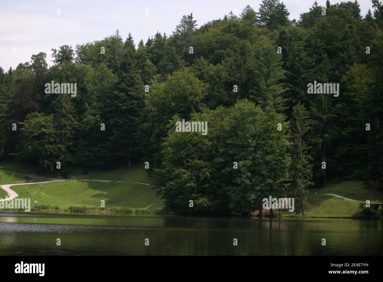A forest on the far side of the shore of the lake, with a lonely path ...
