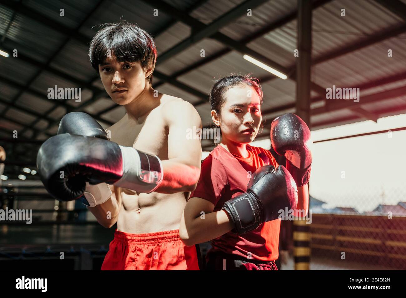 Female and male fighters stand in boxing gloves and pose back to back ...