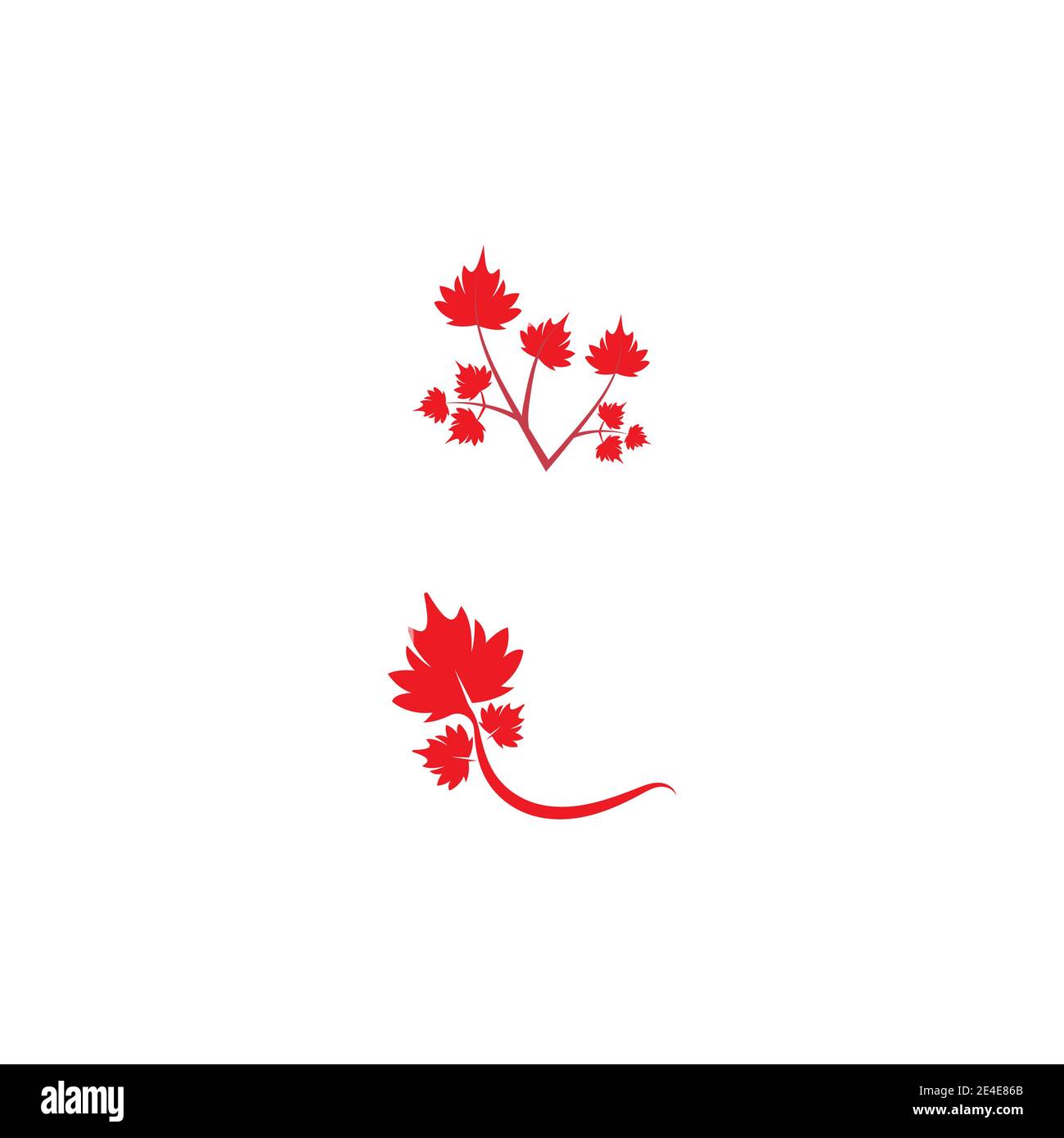 Maple leaf vector illustration design template Stock Vector Image & Art ...