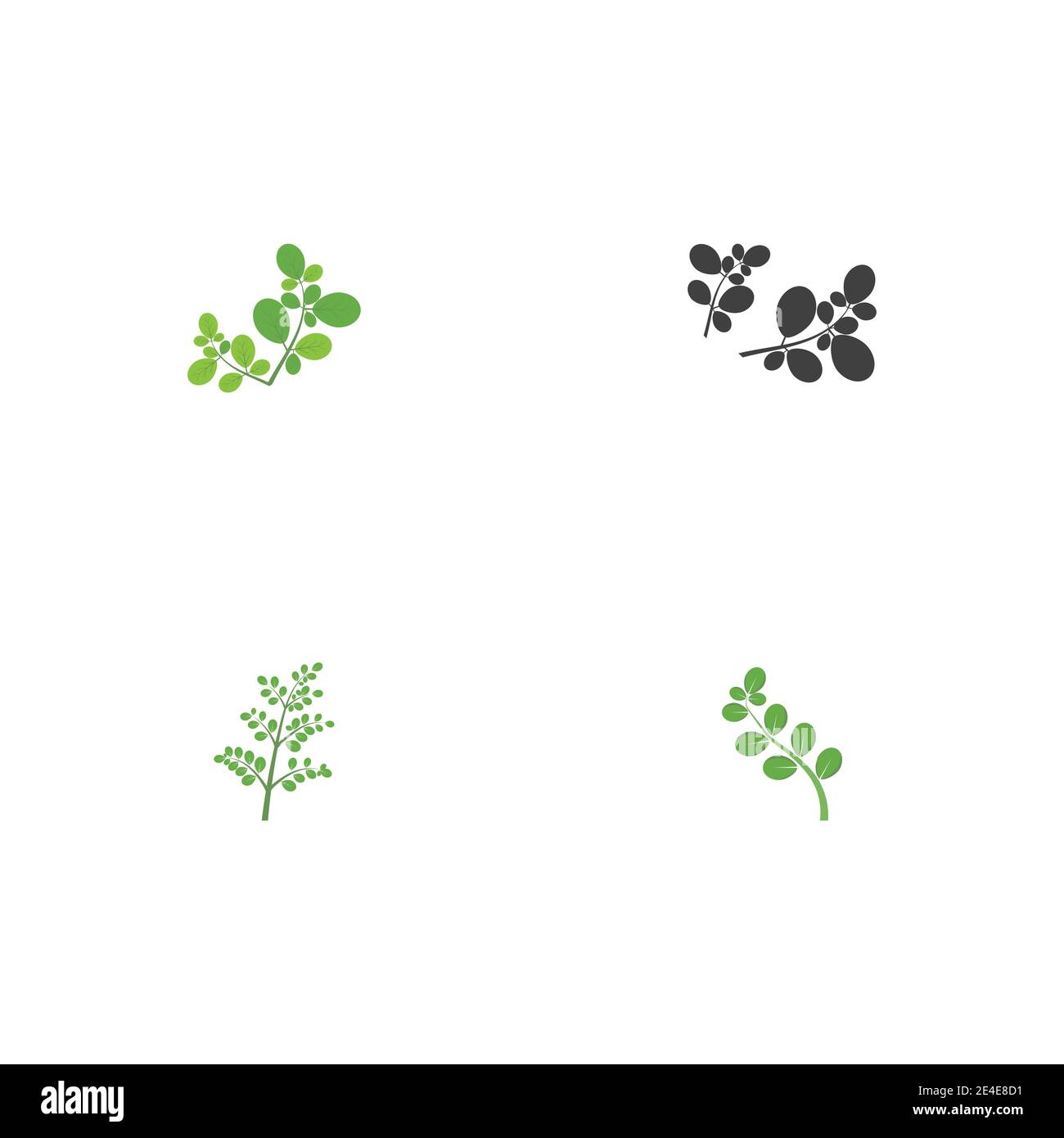 Set Moringa leaf Logo Template vector symbol nature Stock Vector Image ...