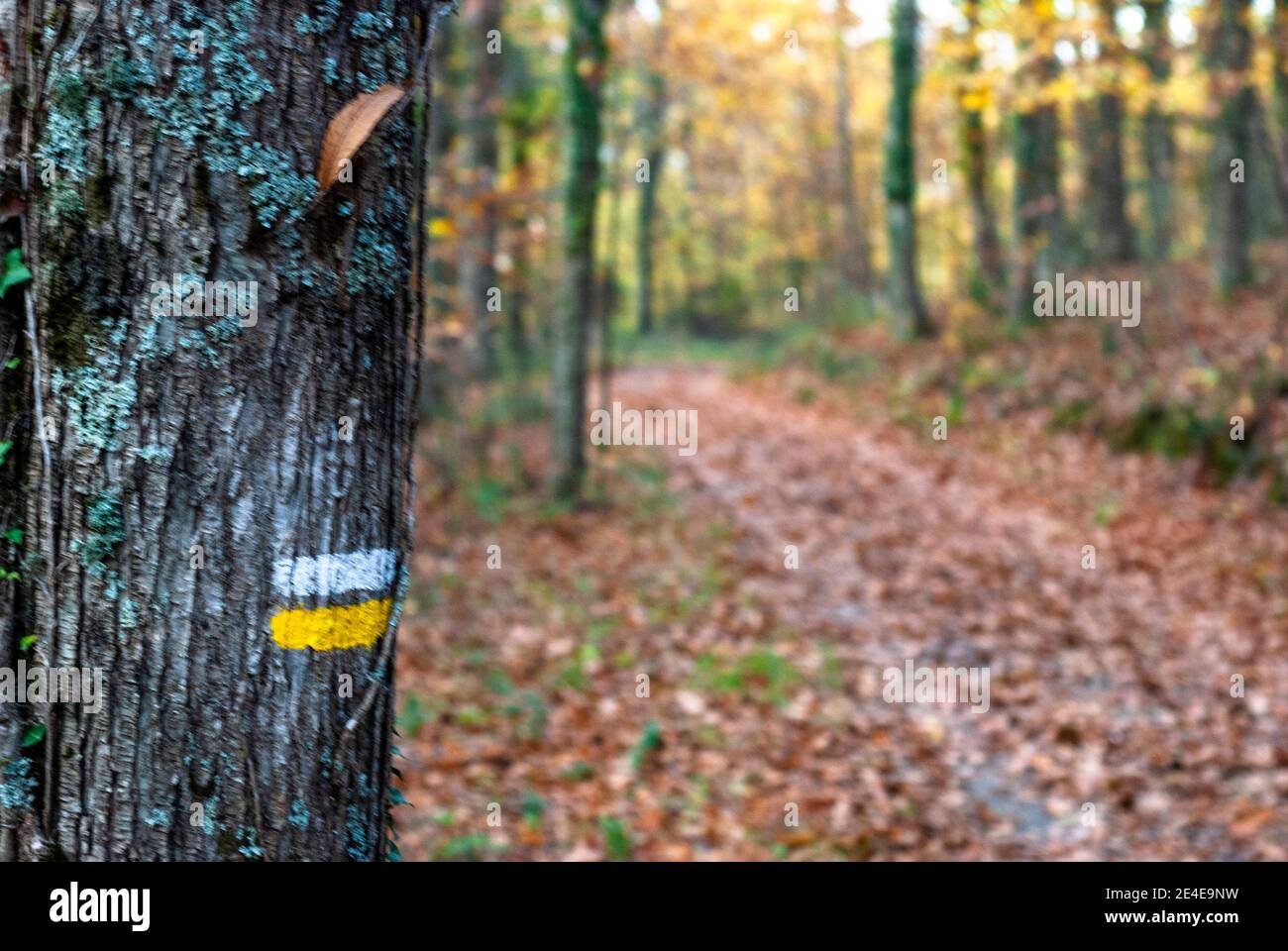 Yellow and white paint grass route hi-res stock photography and images ...