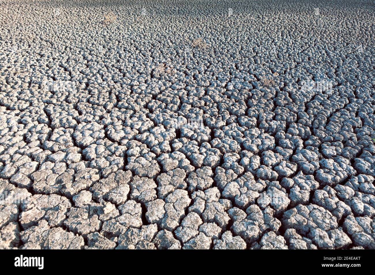Dry lake bottom , cracked muddy ground Stock Photo - Alamy