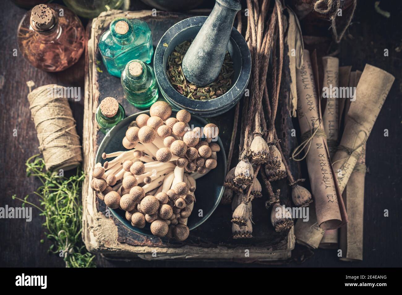 Odd herbal laboratory with ingredients and herbs on wooden table Stock ...