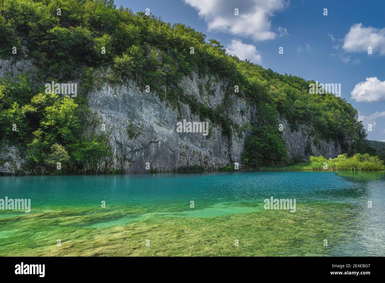 Tall cliff covered in green trees with clean, turquoise coloured lake ...
