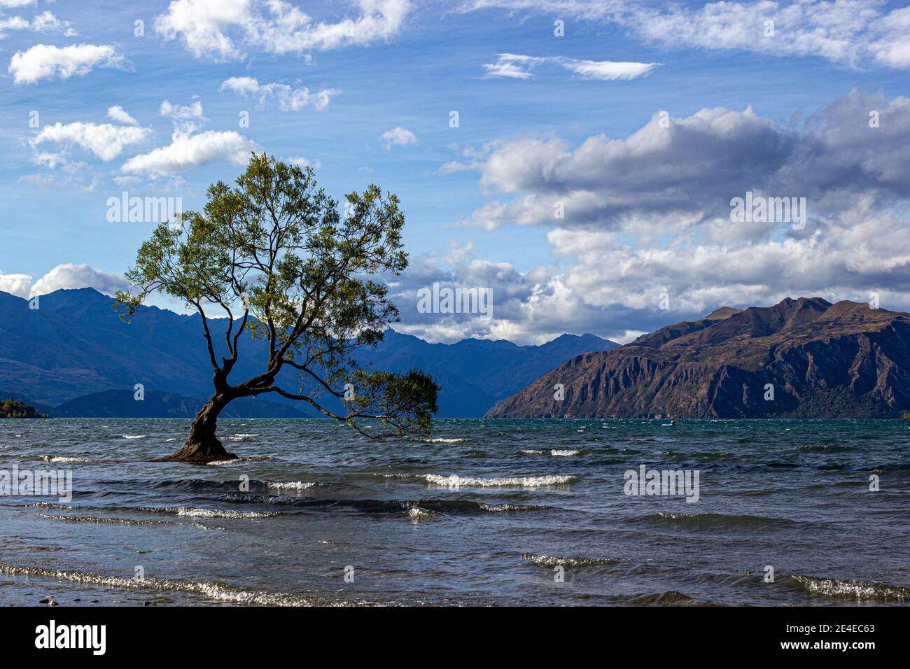 Lake Wanaka Tree at Sunset - the Most Photographed Tree in New Zealand ...