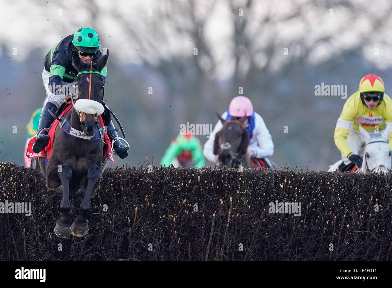 First flow horse hi-res stock photography and images - Alamy