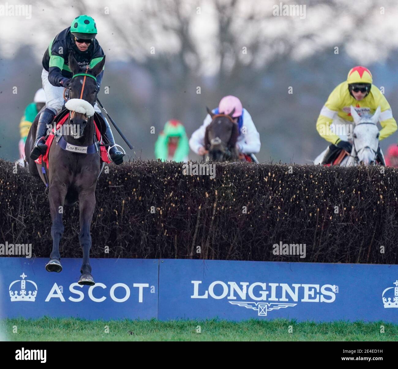 First flow horse hi-res stock photography and images - Alamy