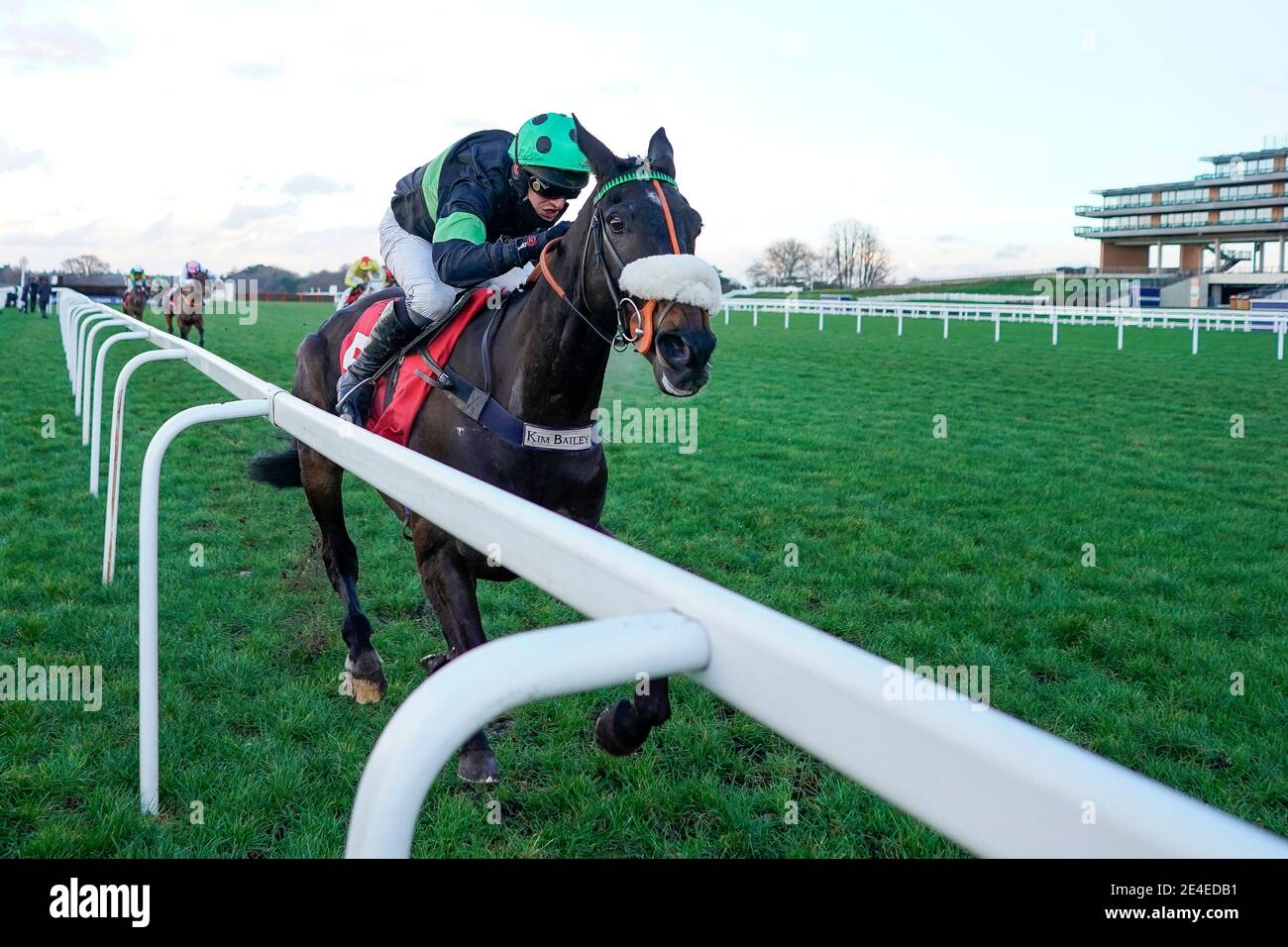 First flow horse hi-res stock photography and images - Alamy