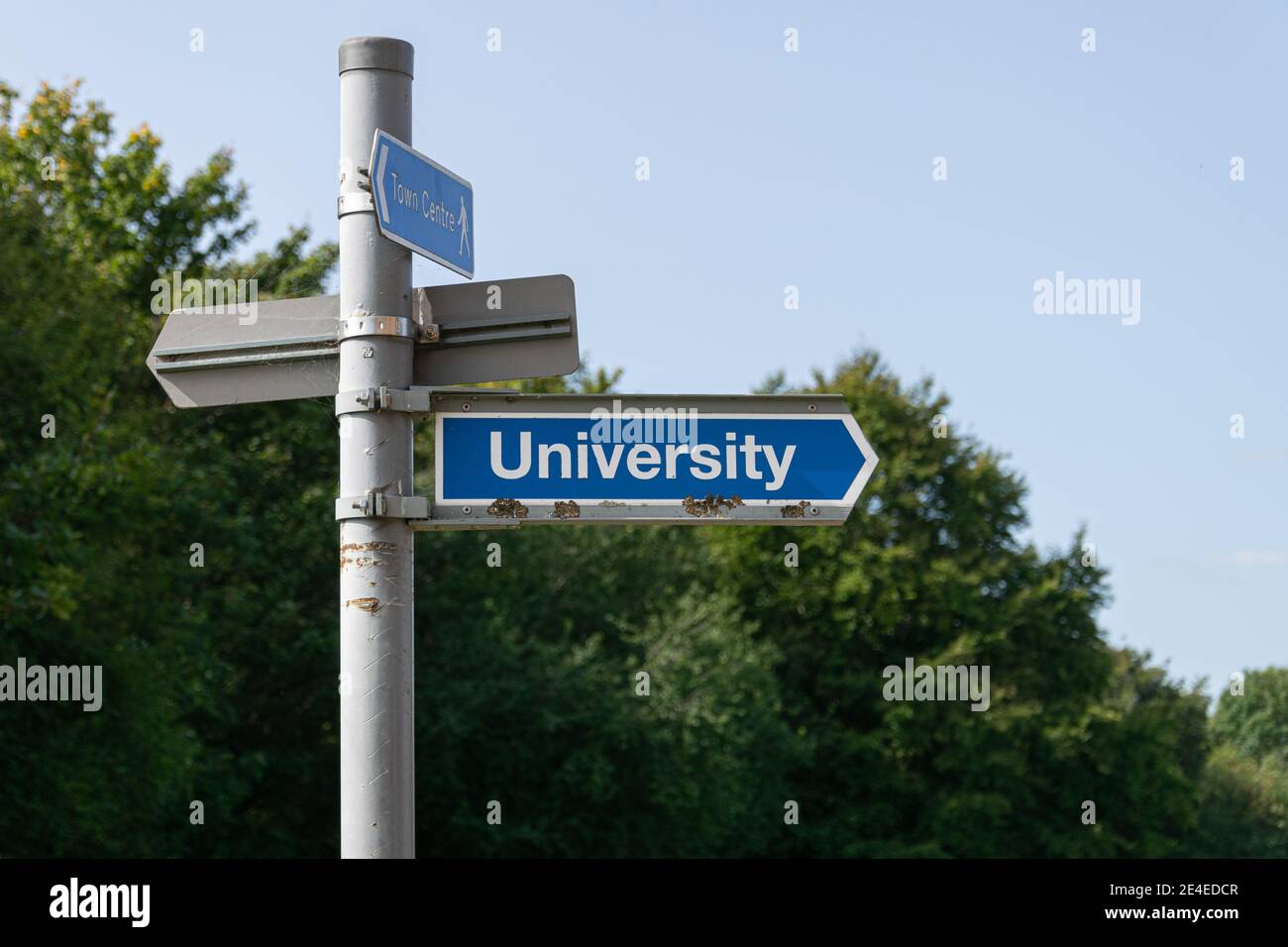 Sign pointing in the direction of a university Stock Photo - Alamy
