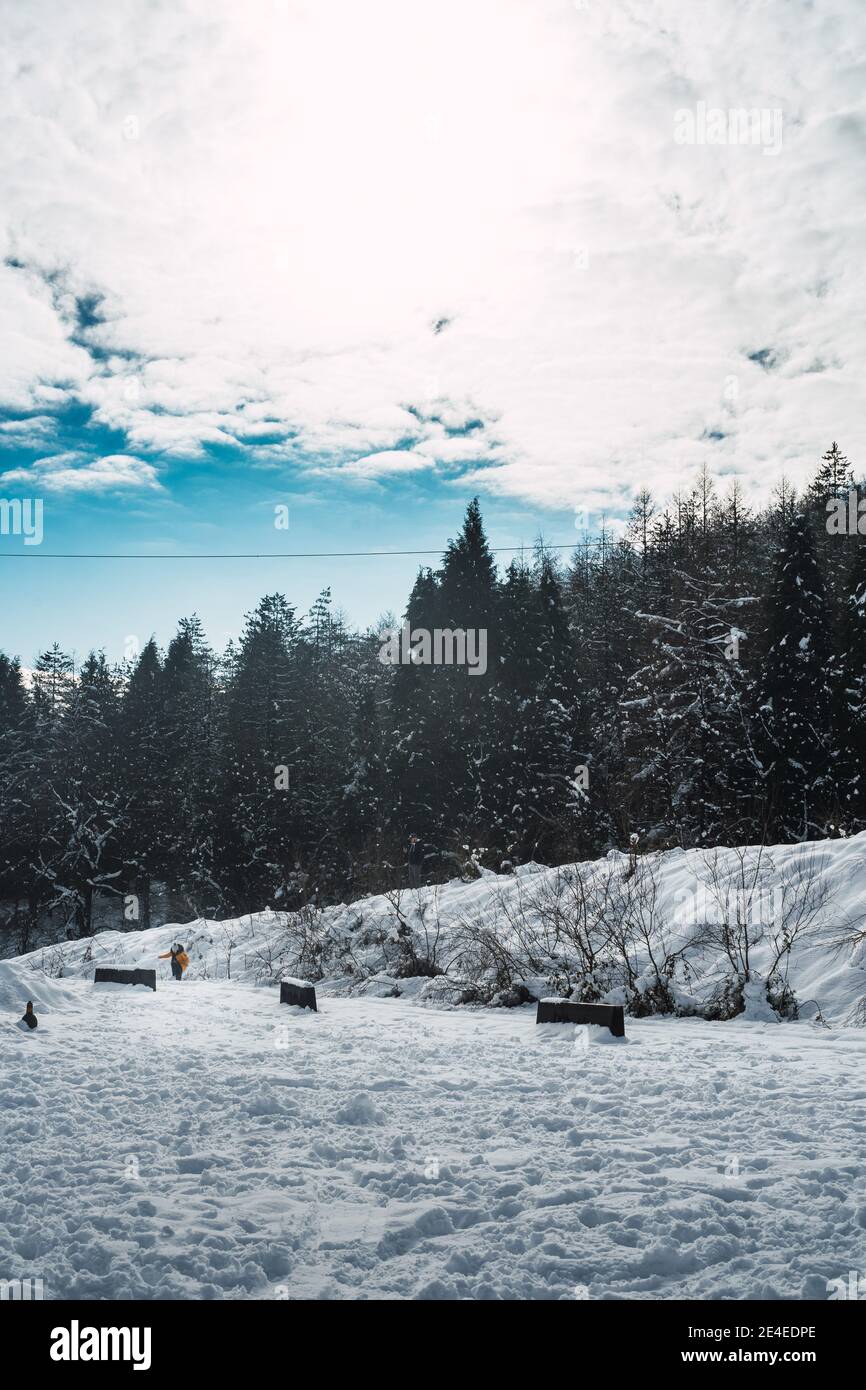 Vertical shot of a park covered with snow against the cloudy blue sky ...