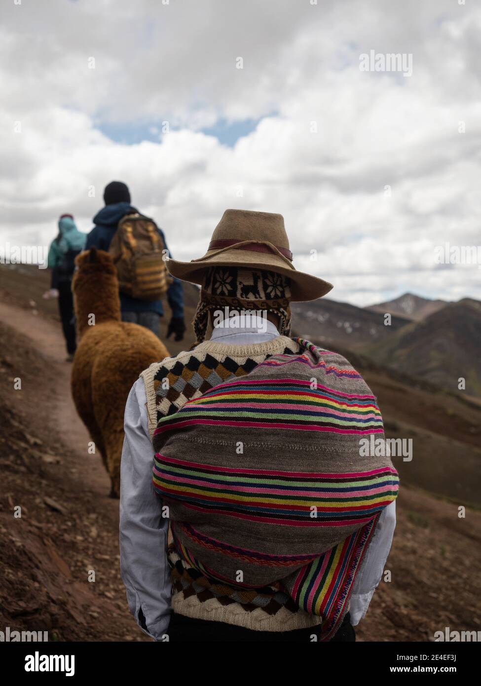Peruvian man in traditional andean indigenous clothes hiking with ...