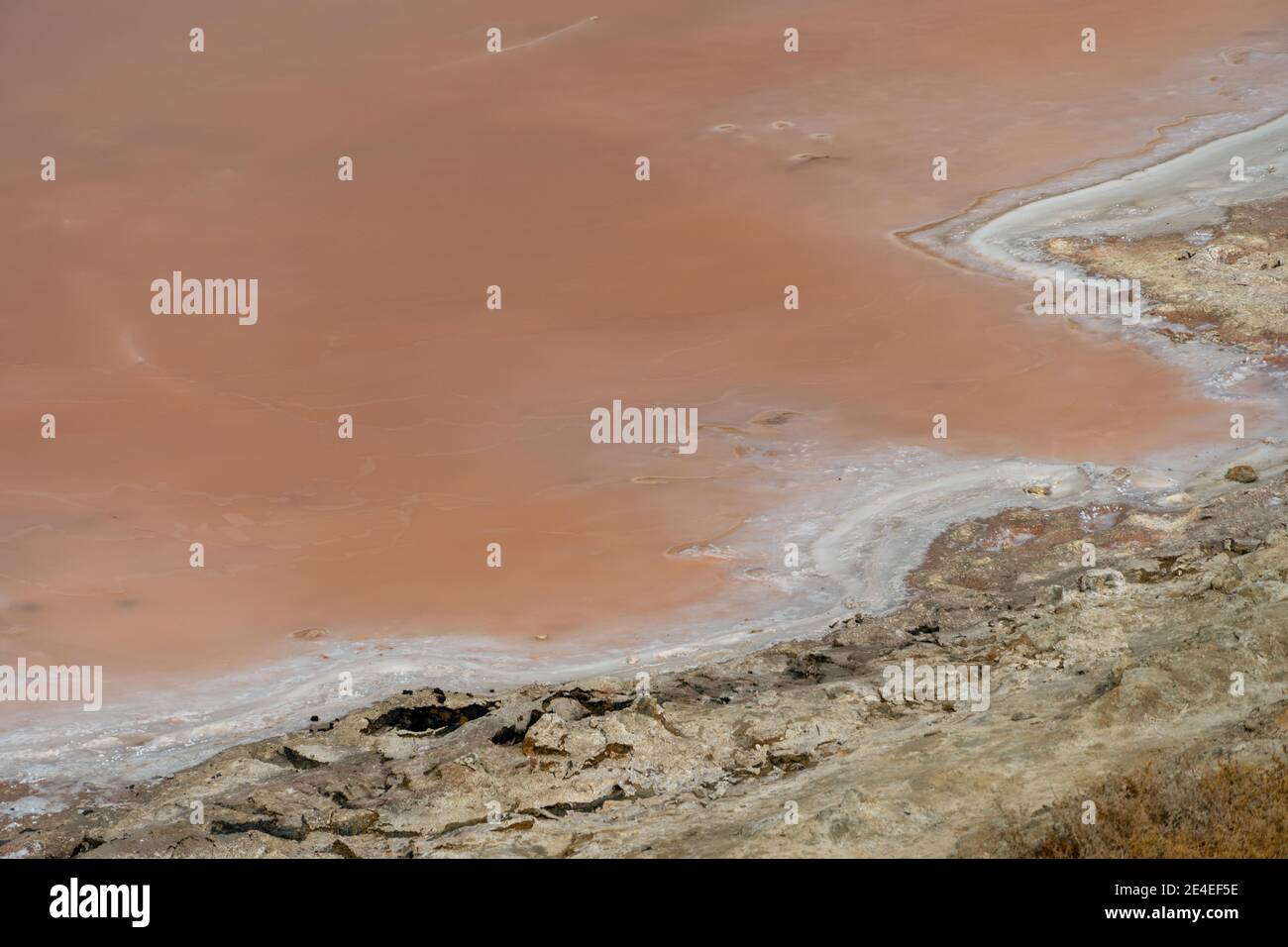 Al rams beach hi-res stock photography and images - Alamy