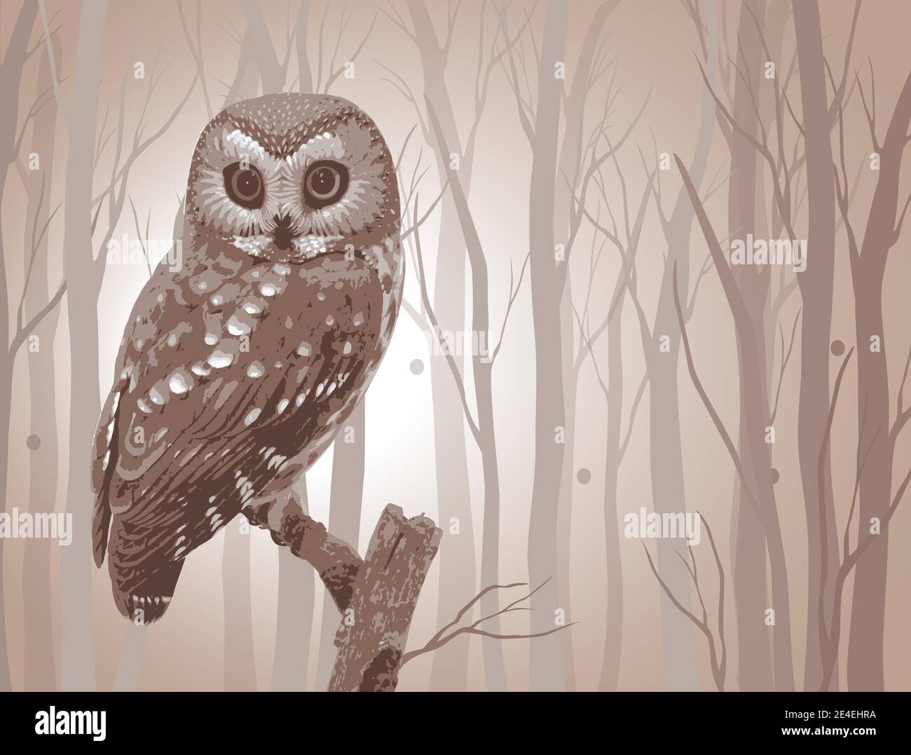 Forest fairy spring Stock Vector Images - Alamy