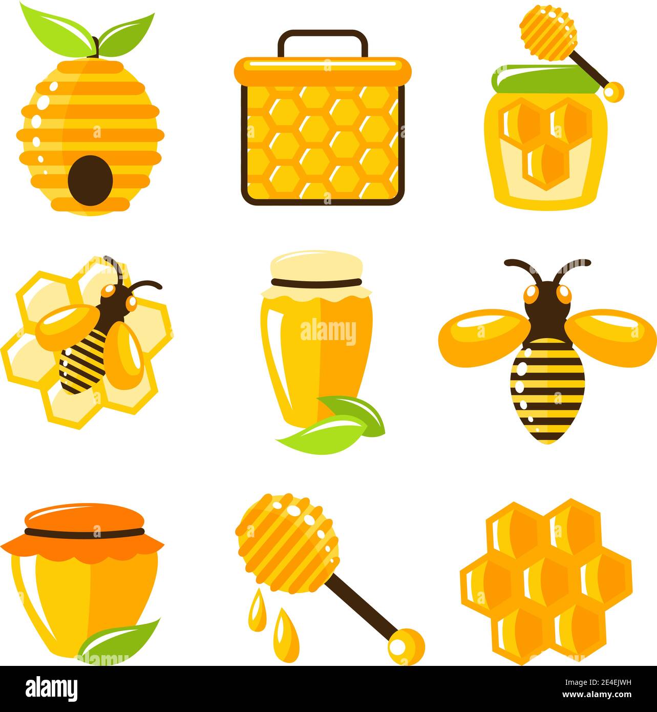 Honey Bee Nest Vector