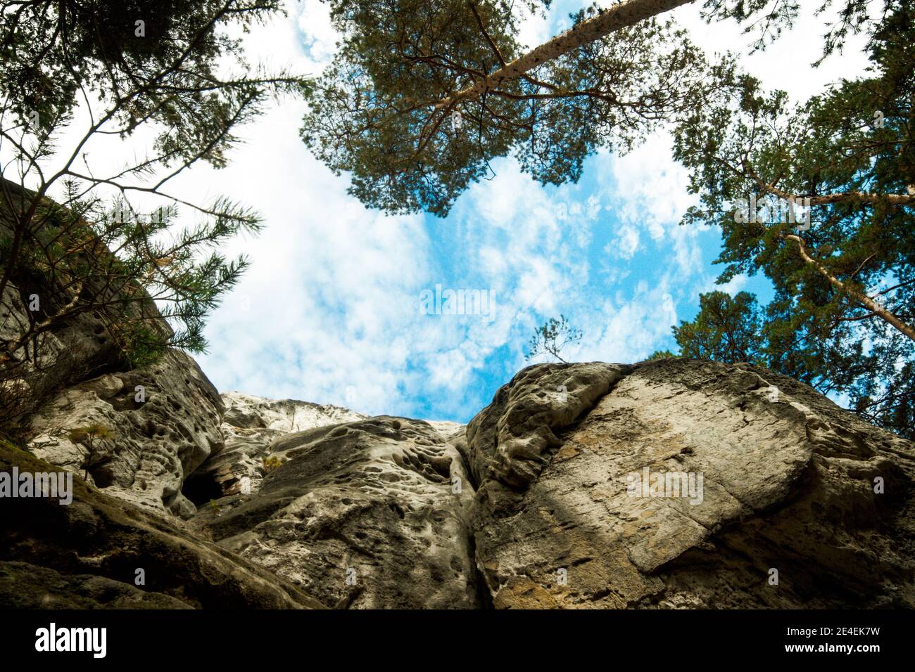 The sandy stone cliffs surrounded by pines and spruces on a sunny day ...