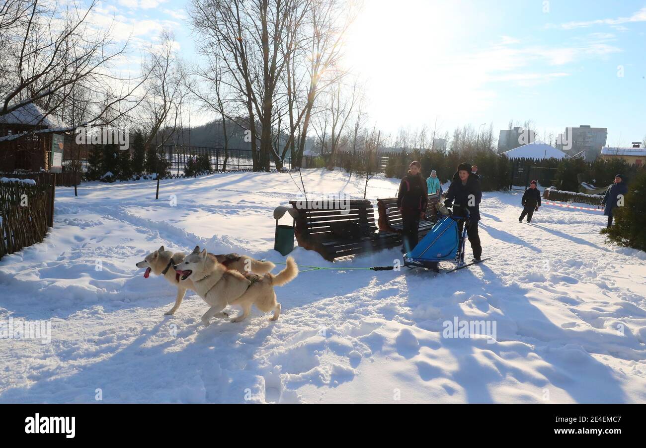 Belarus minsk zoo hi-res stock photography and images - Alamy