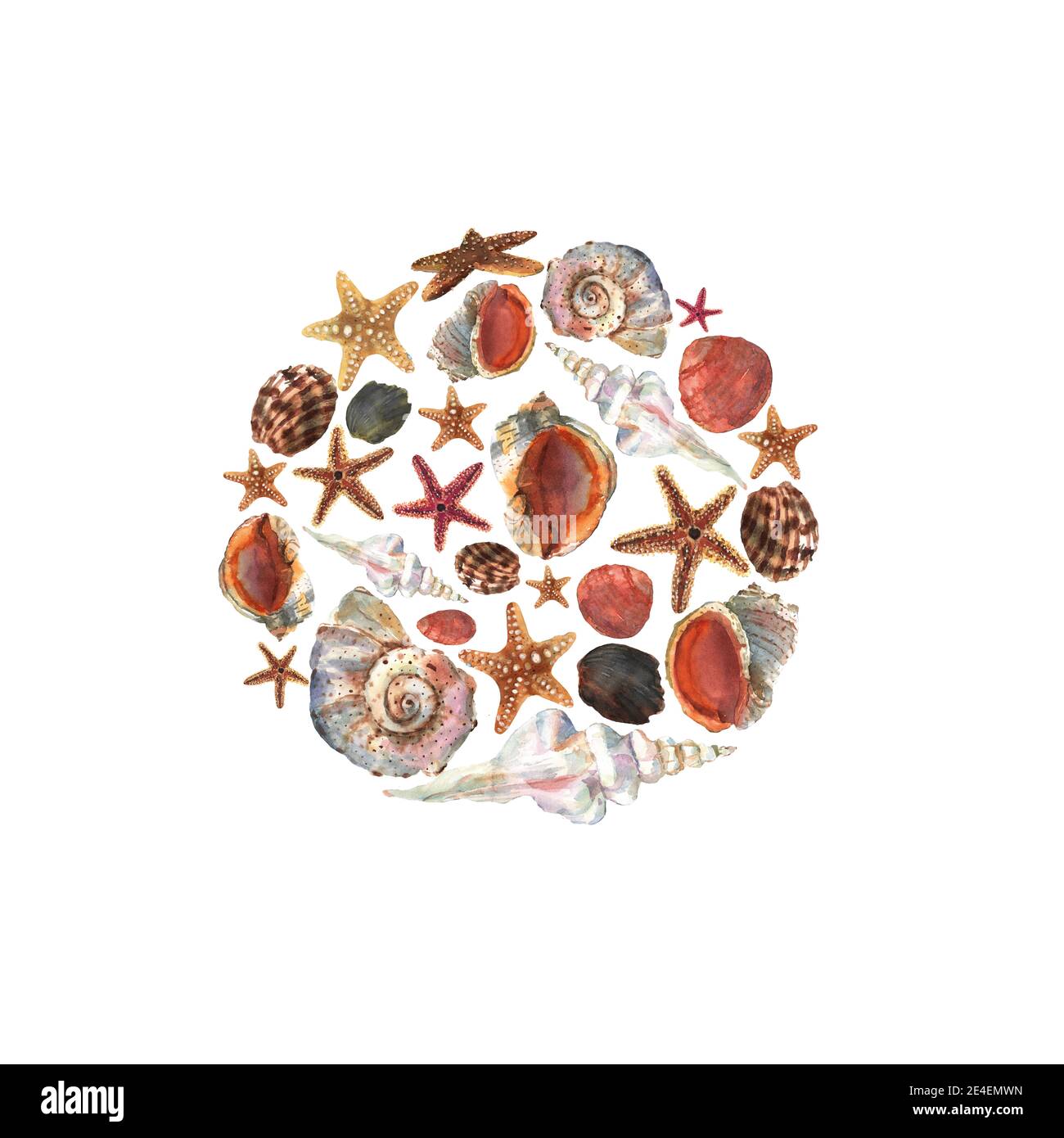 Beautiful watercolor circle background with colorful sea shells and ...
