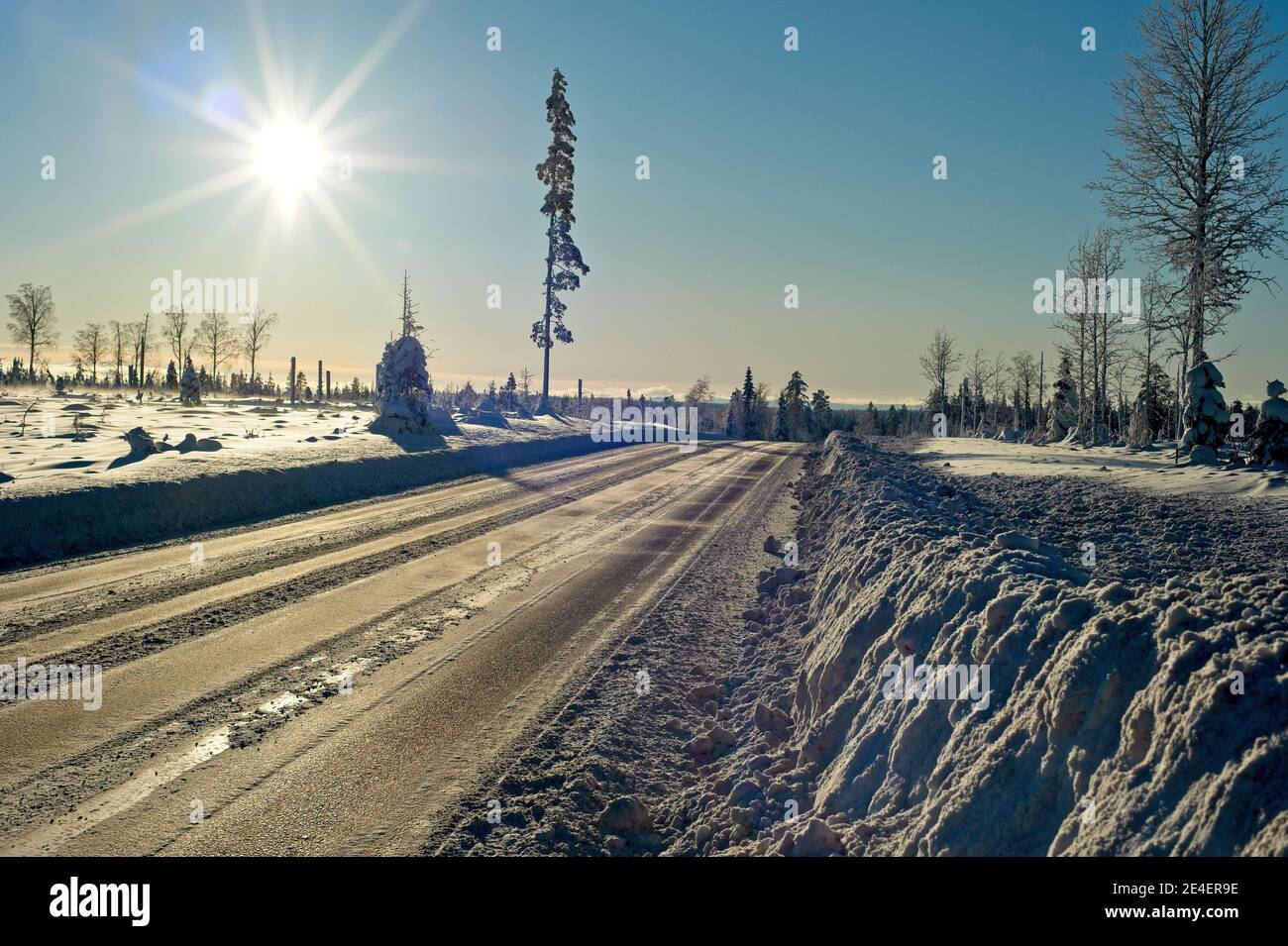Sweden snow cabin trees hi-res stock photography and images - Alamy