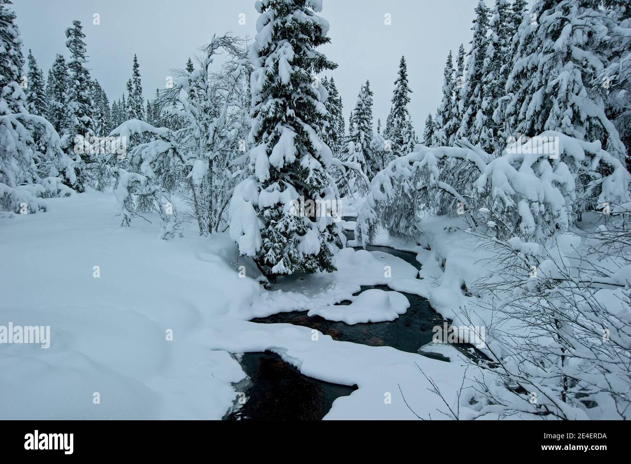 Sweden snow cabin trees hi-res stock photography and images - Alamy