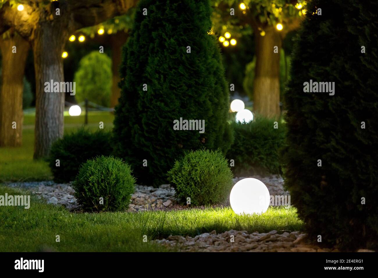 Evergreen Landscape Lighting