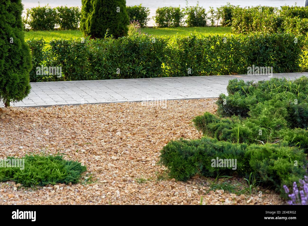 Landscape design with yellow stone mulch way of a garden with growth ...