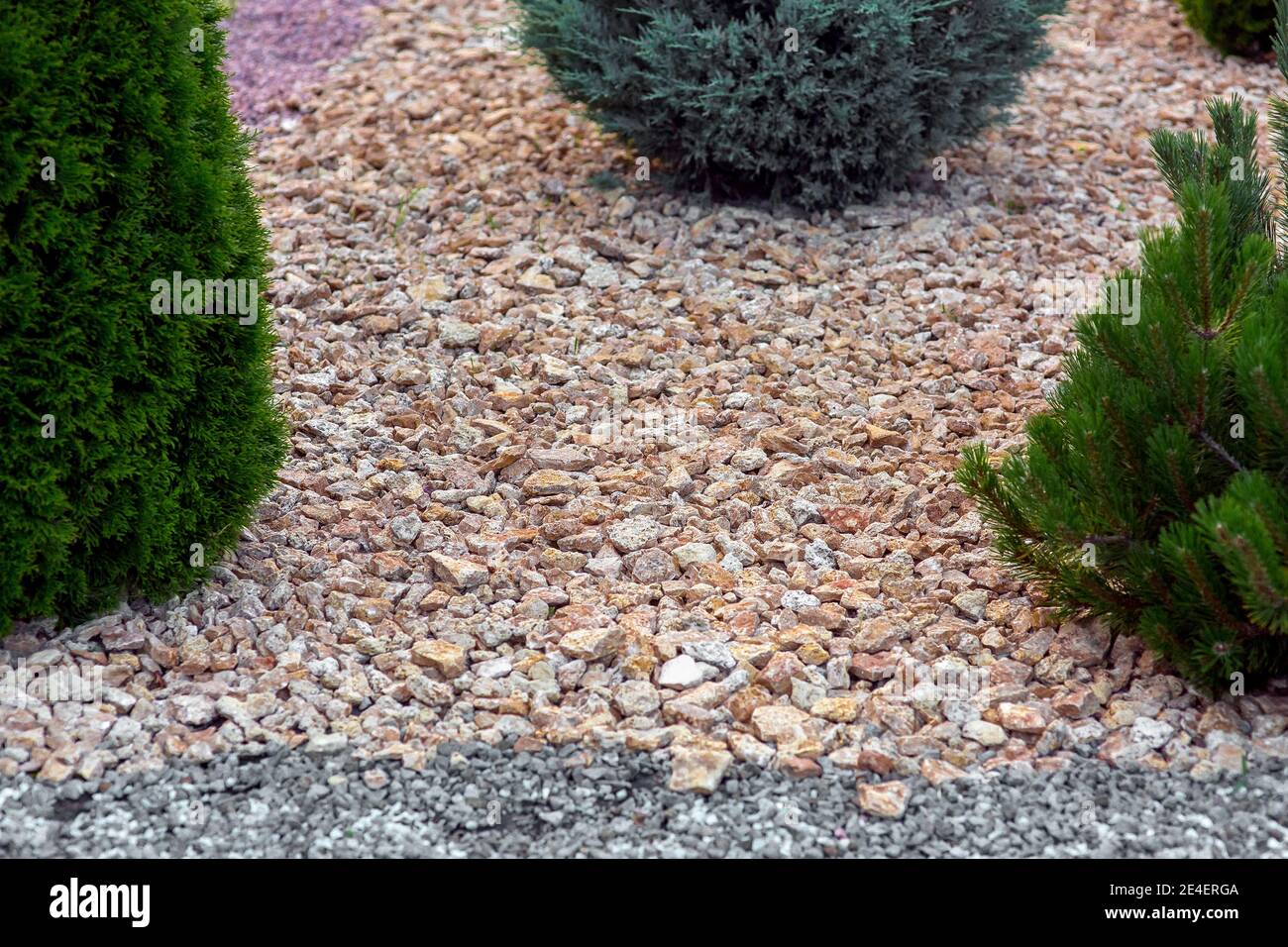 Landscape design with yellow and gray stone mulch way of a garden with ...
