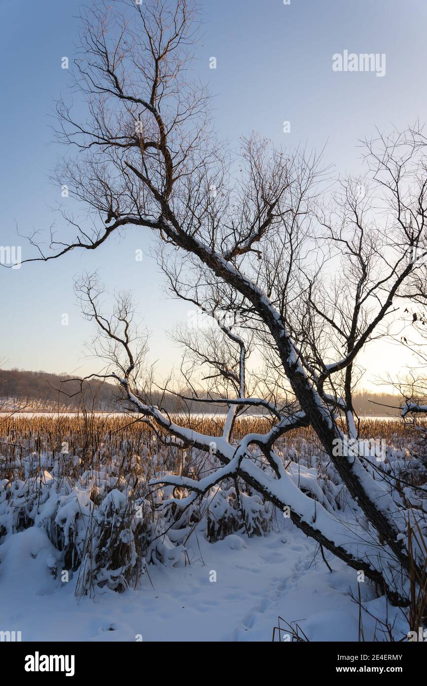 Minnesota lake front hi-res stock photography and images - Alamy
