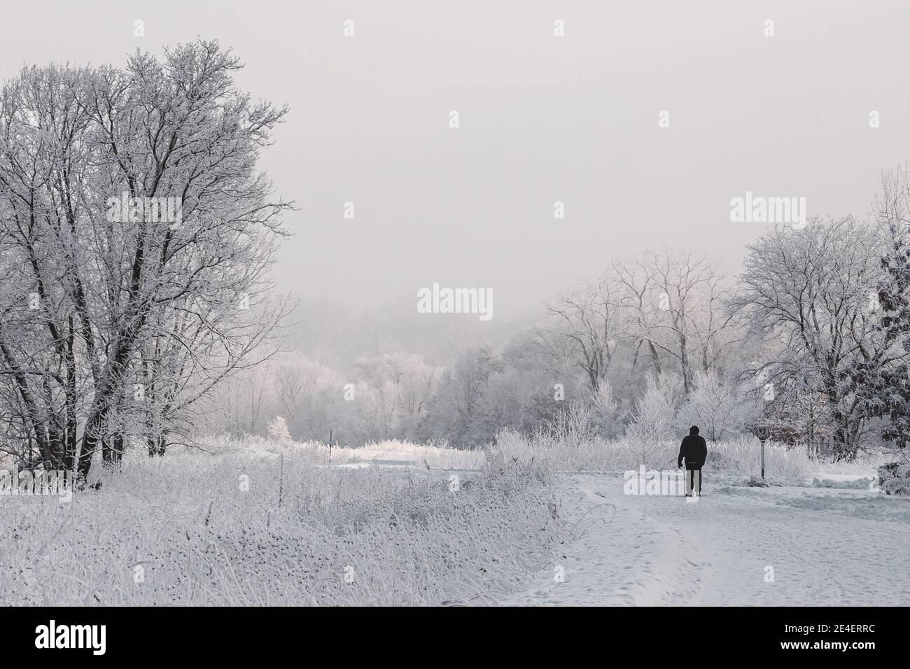 Walking down a snowy path hi-res stock photography and images - Alamy