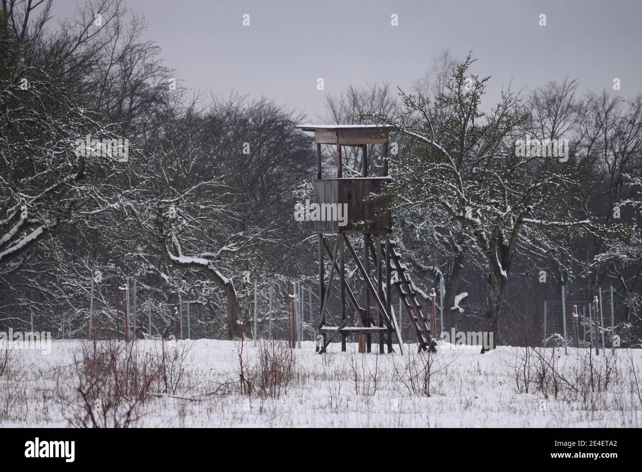 Wooden hunters stand hi-res stock photography and images - Alamy