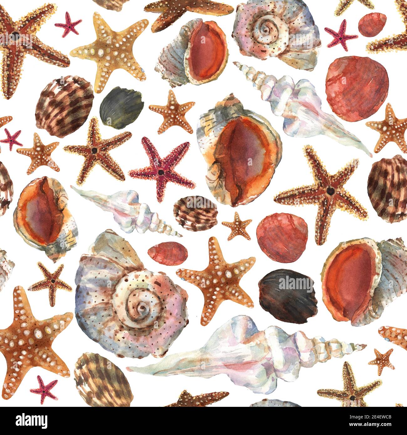 Seamless seashell pattern hi-res stock photography and images - Alamy
