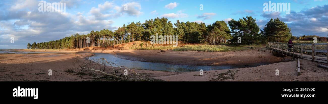 Youngs plantation hi-res stock photography and images - Alamy