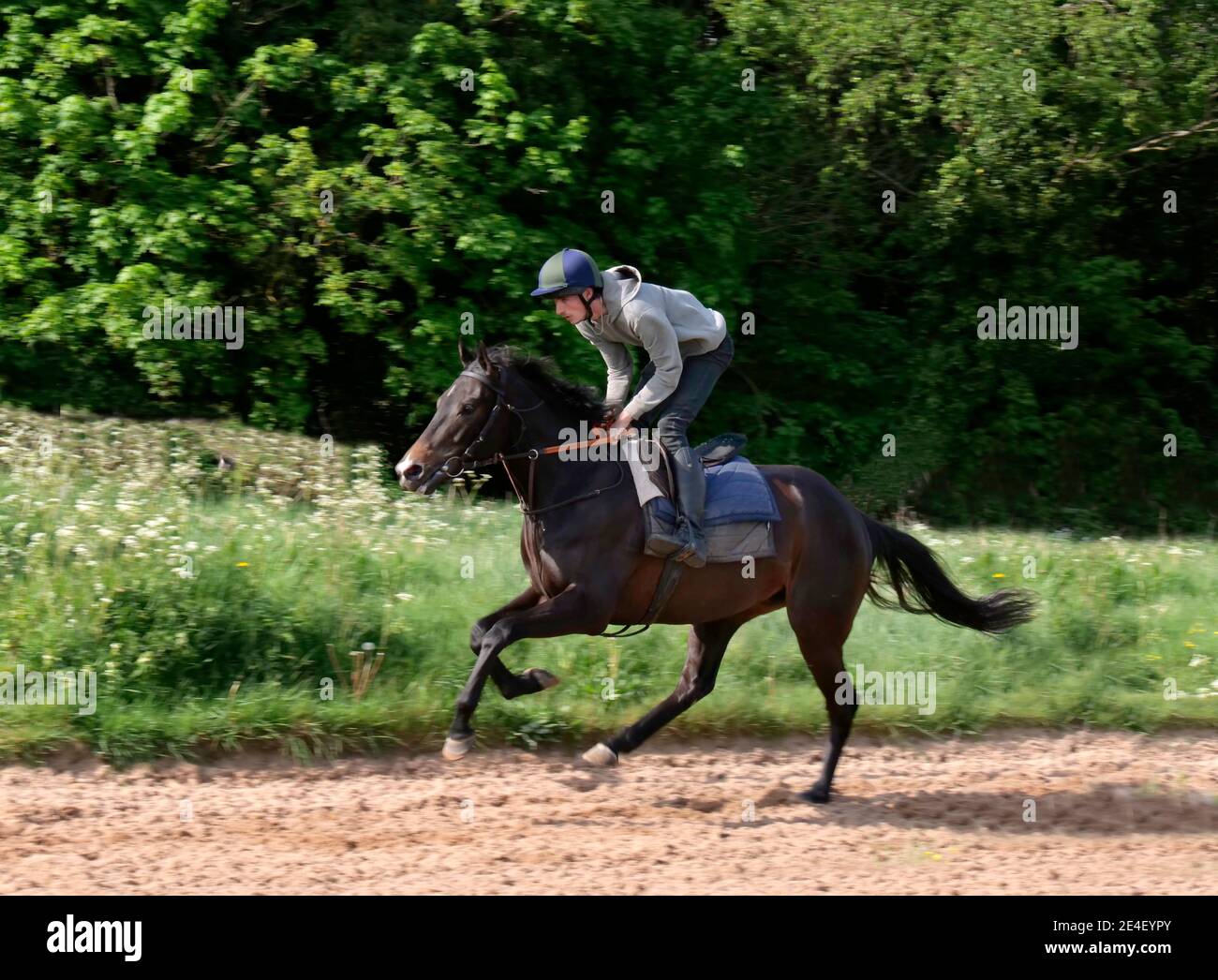 Race training hi-res stock photography and images - Alamy