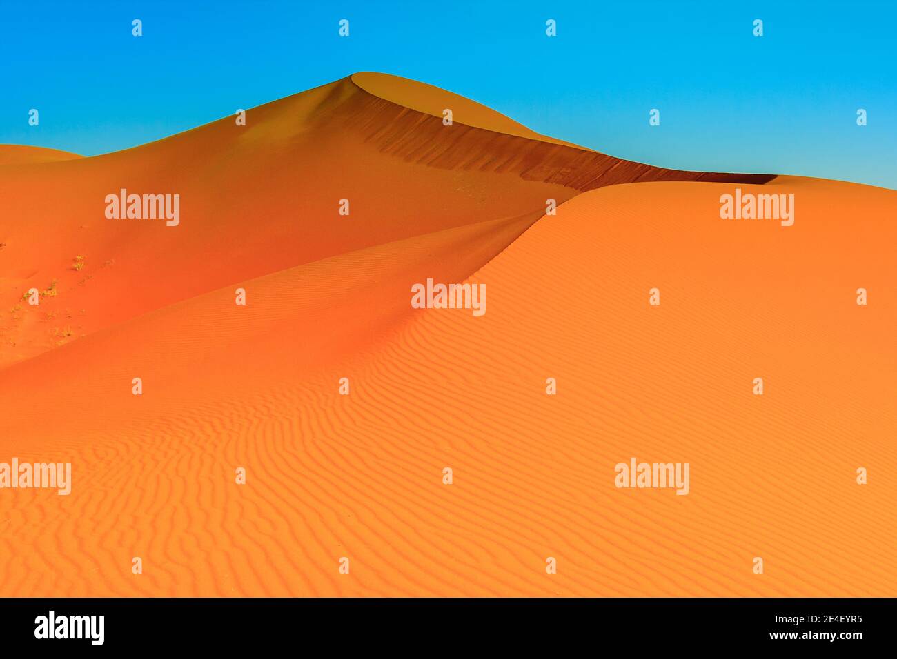 Sand dunes in the Sahara Desert Stock Photo - Alamy